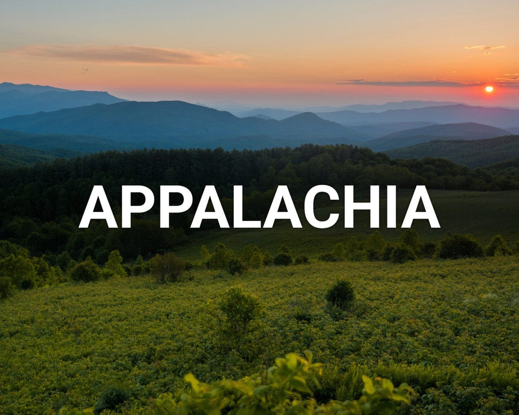 Where We Plant Trees - Support Global Reforestation – The Lincoln Forest